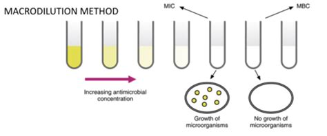 Antibiotic Susceptibility Testing Fundamentals Of Micro Exam 5 Flashcards Quizlet