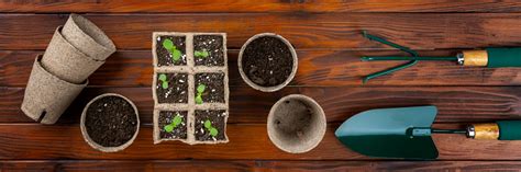 생분해 성 이탄 이끼 냄비에 꽃 묘목을 이식합니다 폐기물 제로 재활용 플라스틱 무료 원예 개념 상단보기 배너 0명에 대한 스톡 사진 및 기타 이미지 Istock