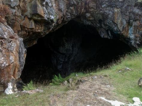 In Search Of Monty Python S Killer Rabbit And Wooden Witch