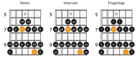 Major Scale 5 Positions