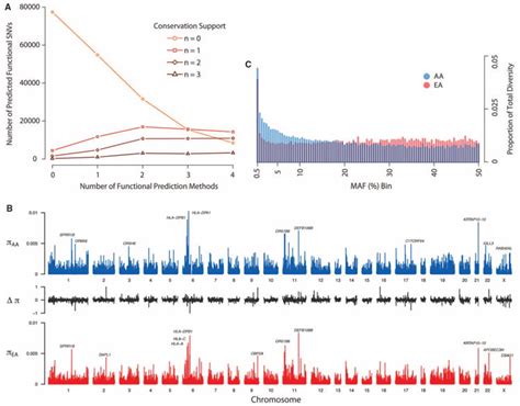 Evolution And Functional Impact Of Rare Coding Variation From Deep