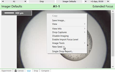 Creating A Seed And Adding A Seeding Layer — Rock Maker 318 Documentation