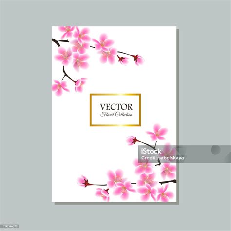 꽃 사쿠라 나무 가지 황금 사각형 텍스트 템플릿 주위에 테두리 꽃 식물에 대한 스톡 벡터 아트 및 기타 이미지 꽃 식물