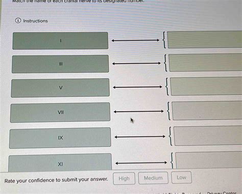Solved Match the name of each cranial nerve to its designated number ① Instructions 1 m v VII