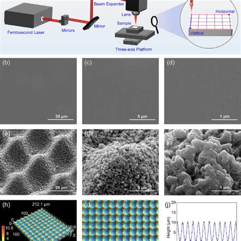 A Schematic Of The Fabrication Of Micronanostructures On Zirconia