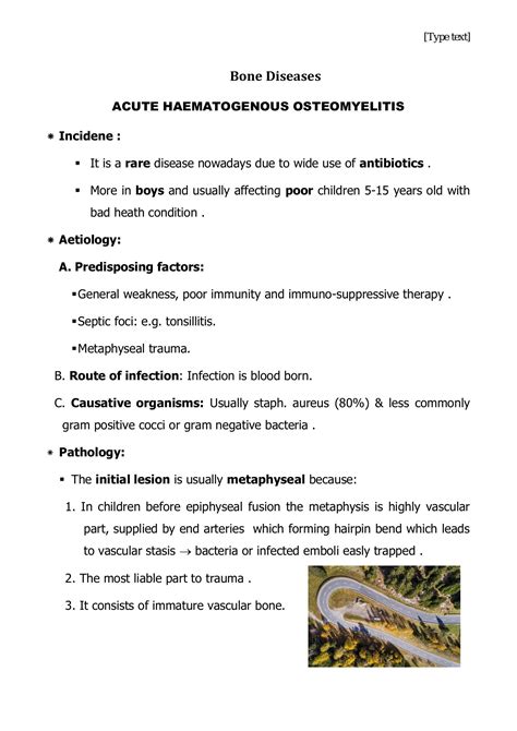 Bone Diseases Part 1 Doc Docdroid