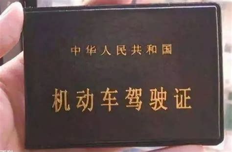 驾驶证编号 有驾