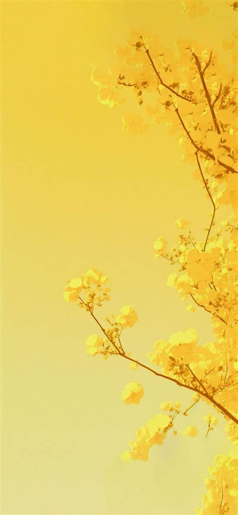 🔥 [40 ] Aesthetic Spring Yellow Wallpapers Wallpapersafari