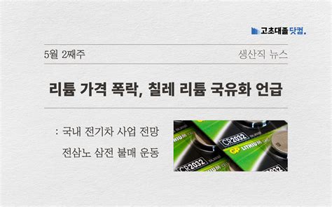 리튬 가격 폭락 국내 전기차 사업 전망 전삼노 삼전 불매