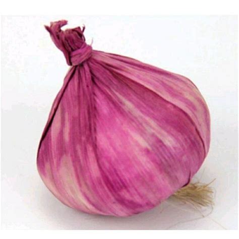 Sayur Artificial Dekorasi Kitcen Hiasan Meja Sayuran Pajangan Lazada