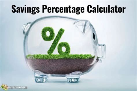 Percentage Of Savings Calculator By Budget Com