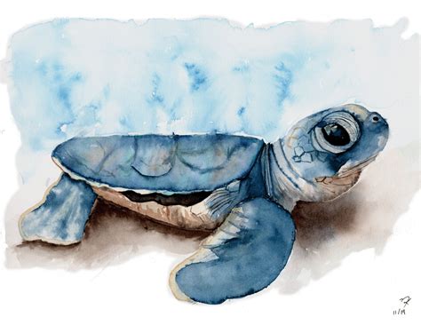 Watercolour Turtle Easy Artofit