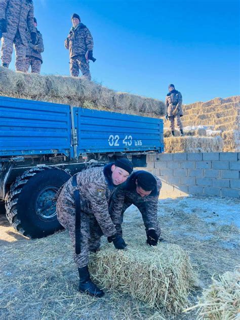 Цас зудын нөхцөл байдал хүндэрсэн аймгуудад ажиллах хүчийг нэмэгдүүллээ