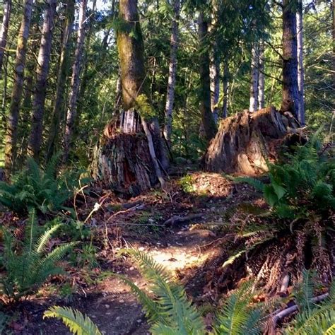 Aletha Ostgaard Home Facebook