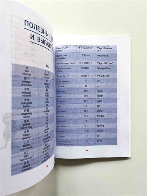 Китайская грамматика в схемах и таблицах Vilki Books