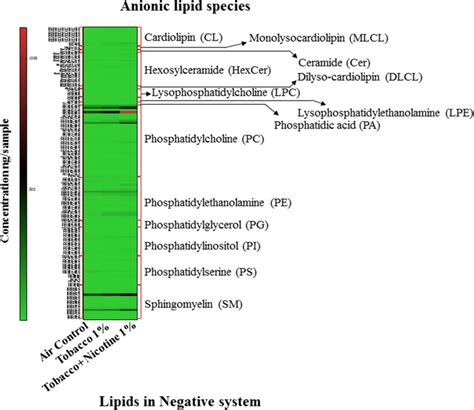 Tf Ecvc ±nic Exposure Induces Differential Localization Of Lipids In