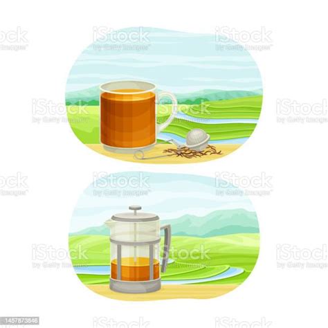 차 그린 테라스 필드 농장 머그잔과 프렌치 프레스 뜨거운 향기로운 음료 벡터 세트 0명에 대한 스톡 벡터 아트 및 기타 이미지 0명 농업 도시를 벗어난 장면 Istock