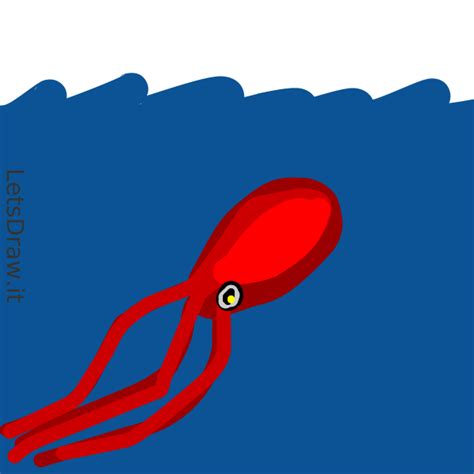 How To Draw Squid Xs43fo4xa Png LetsDrawIt