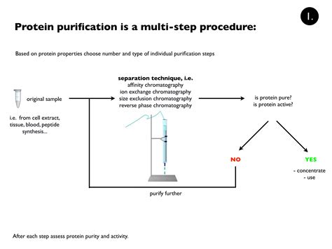 Protein Purification Pdf