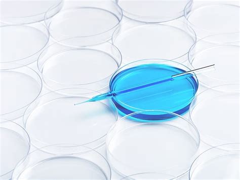 Cells As Bioinks For 3d Bioprinting Roosterbio