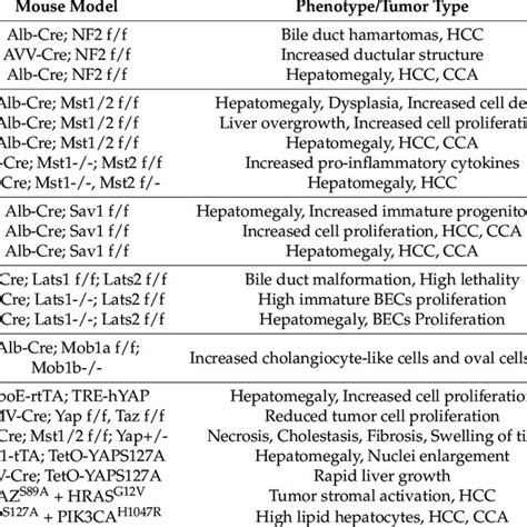 Genetically Engineered Mouse Models With Dysregulated Hippo Yap Taz Download Scientific Diagram
