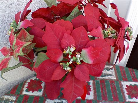 Lg Env Vx Hands On Phonearena