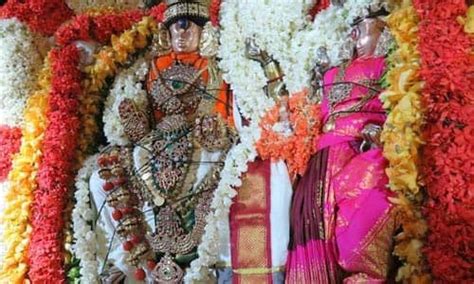 Pushpa Pallaku Utsavam Vimarisai At Kanchi Ekambaranatha Temple காஞ்சி ஏகாம்பரநாதர் கோவிலில்