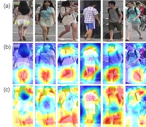 feature maps visualization a original images b feature maps