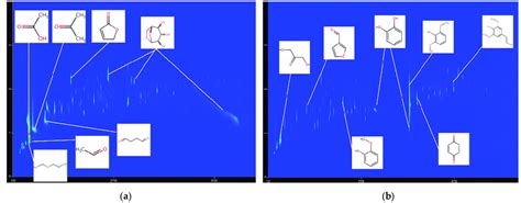 Gc×gc Tof Ms Chromatogram Of First Fractionation A Water Phase And