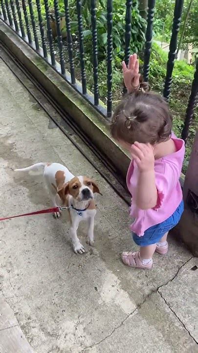 კატო და როკი Youtube