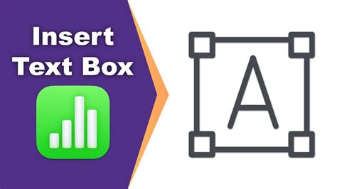 How To Insert A Text Box In Apple Numbers Spreadsheet On Mac Youtube
