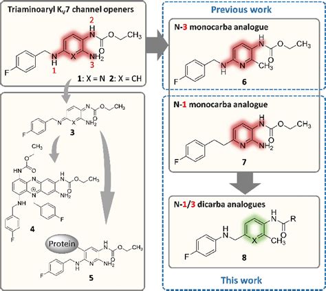 Structures Of Flupirtine 1 And Retigabine 2 The Proposed