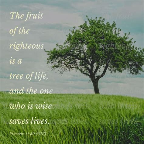 Proverbs 1130 Tree Of Life Quotes Proverbs 11 Bible Proverbs