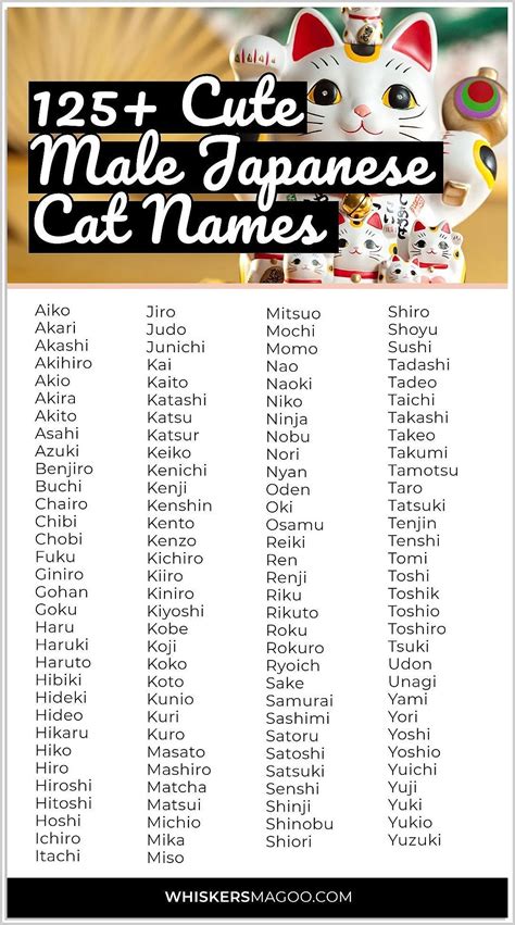 400 Japanese Cat Names With Their Meanings Artofit