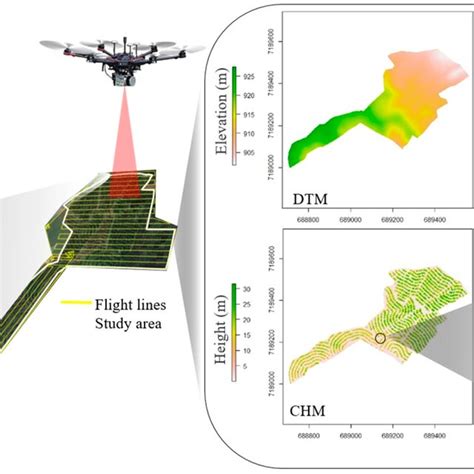 Example Of Stem Segmentation For Dbh Measurement From The Uav Lidar 3d Download Scientific