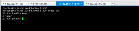 8 4 redis keepalived高可用集群实战 — 运维开发修炼之路