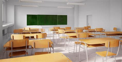 რეგიონის სკოლების პრობლემები და მიზნები Mastsavlebeli Ge