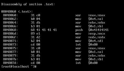 Disassembly Shellcode Not Working Correctly Reverse Engineering