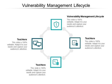 Vulnerability Management Lifecycle Ppt Powerpoint Presentation Slides Elements Cpb