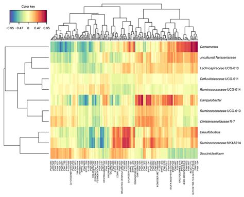 Clustered Image Map Based On The Similarity Matrix Obtained From The Download Scientific