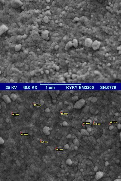 SEM Of TiO2 Prepared At Ethanol Download Scientific Diagram