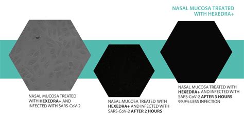 Effectivness Hexedra