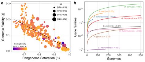 Pangenome Properties Of Representative Species A Genomic Fluidity In Download Scientific
