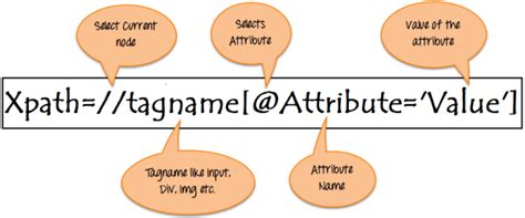 Selenium中常用定位器Xpath的完整使用指南 selenium定位