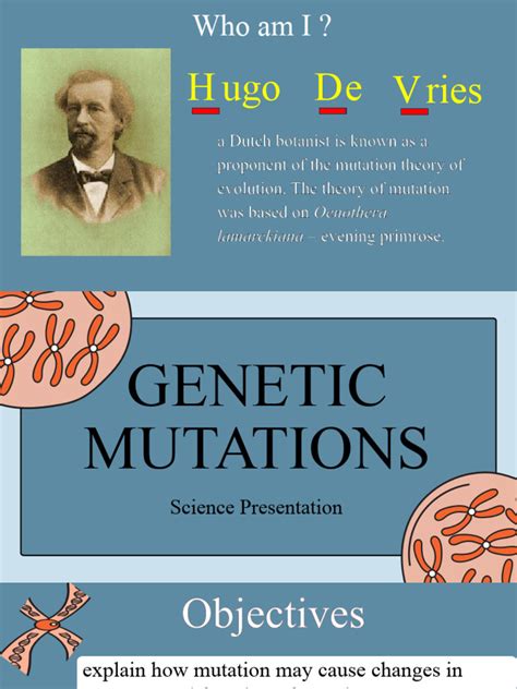Q3 W4genetic Mutation Pdf Mutation Point Mutation