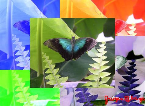 Ball State Computer Science On Linkedin Cs1 Mediacomputation Art