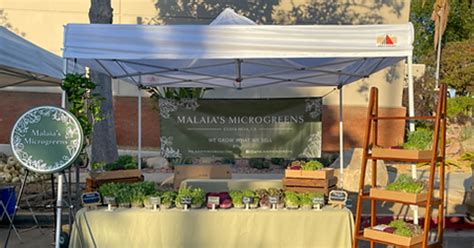 Case Study — From Backyard To Business Center Malaias Microgreens