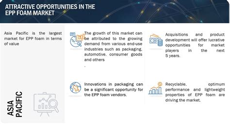 Epp Foam Market Size Industry Share Growth Forecast Global Trends Report [latest]
