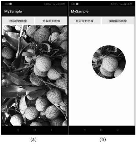 Android App开发超实用实例 OpenCV在Android手机以圆形形状抠取图像 代码 Point Android