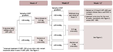Camzyos Mavacamten Capsules Uses Dosage Side Effects Interactions